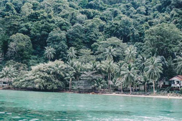 Sandfly bites on Bali