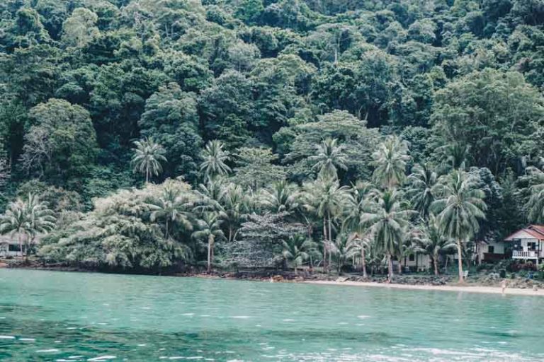 Sandfly bites on Bali
